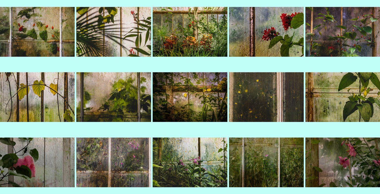 Keith Surey ARPS Panel – Welcome to Beckenham Photographic Society